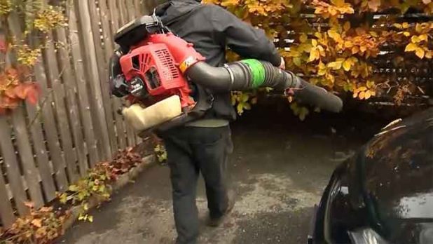 Quietest Leaf Blowers 2024: Reviews and Buying Guide