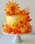 19 Leo Birthday Cake Designs That Will Wow Everyone At Your Party
